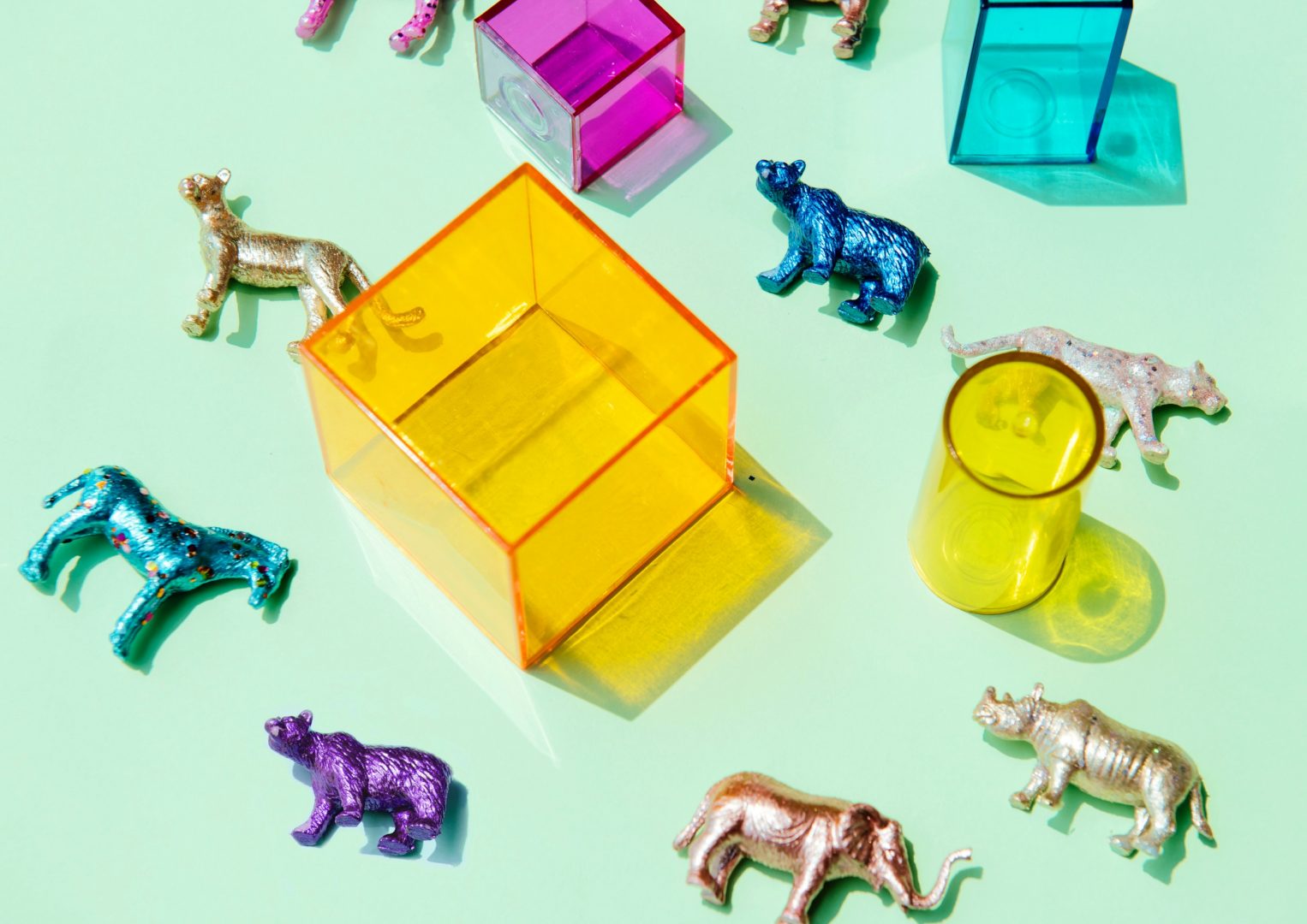 Why You Should Never Think Outside the Box | The Jargon Jar